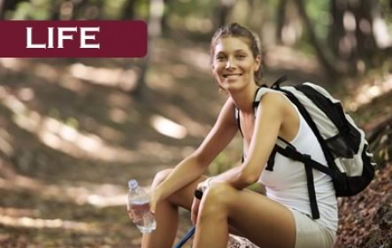 Insurance Company in Easton, PA | Reagle Insurance